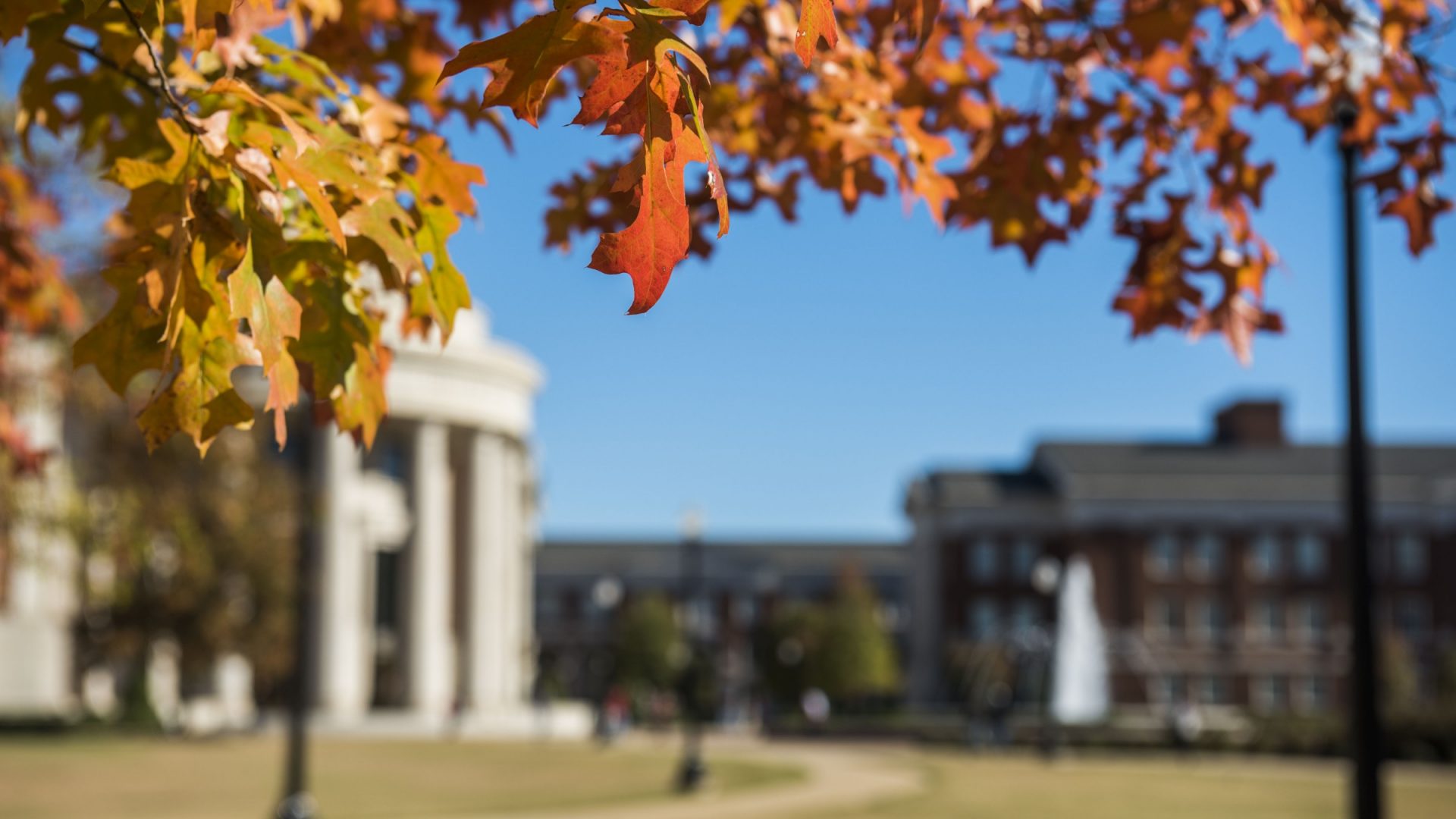 Act Card | The University of Alabama